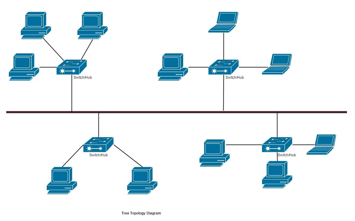 What Is Network Topology